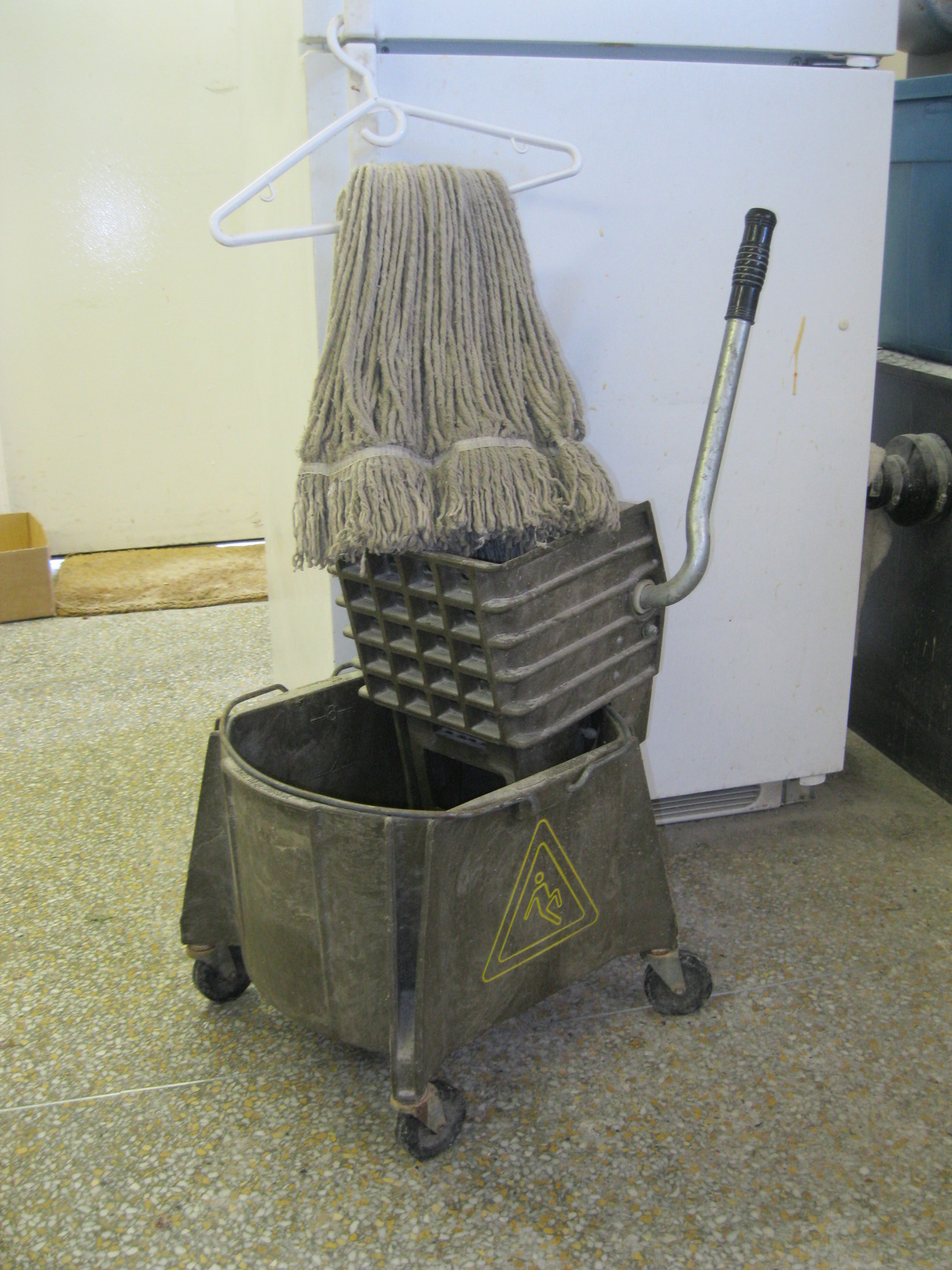 Herb Wong | Awesome Mops of China